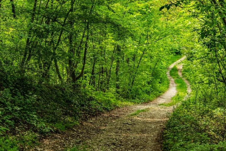Choosing the Path That Leads to Life – I write about Stuff